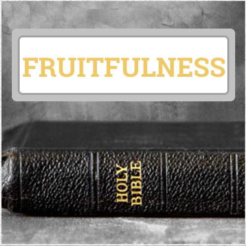 4 - Suffering - Bible Teaching Resources