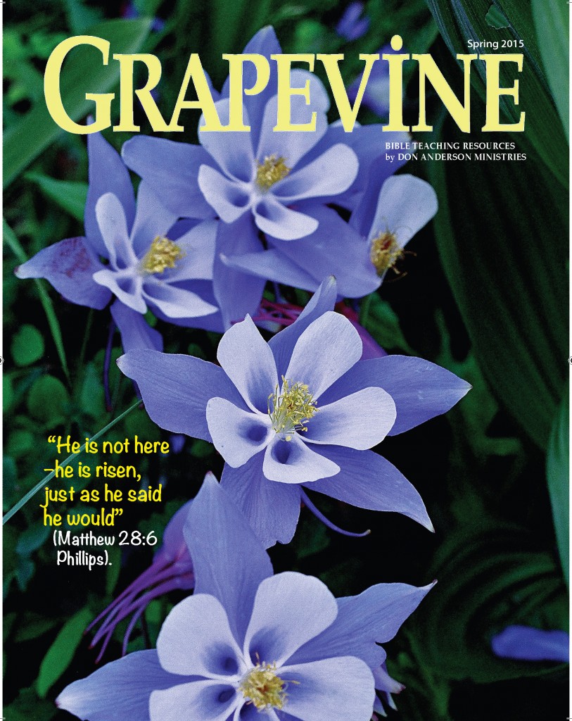 The Grapevine - Bible Teaching Resources