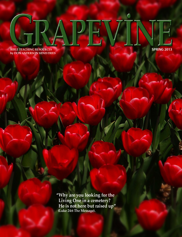 The Grapevine - Bible Teaching Resources