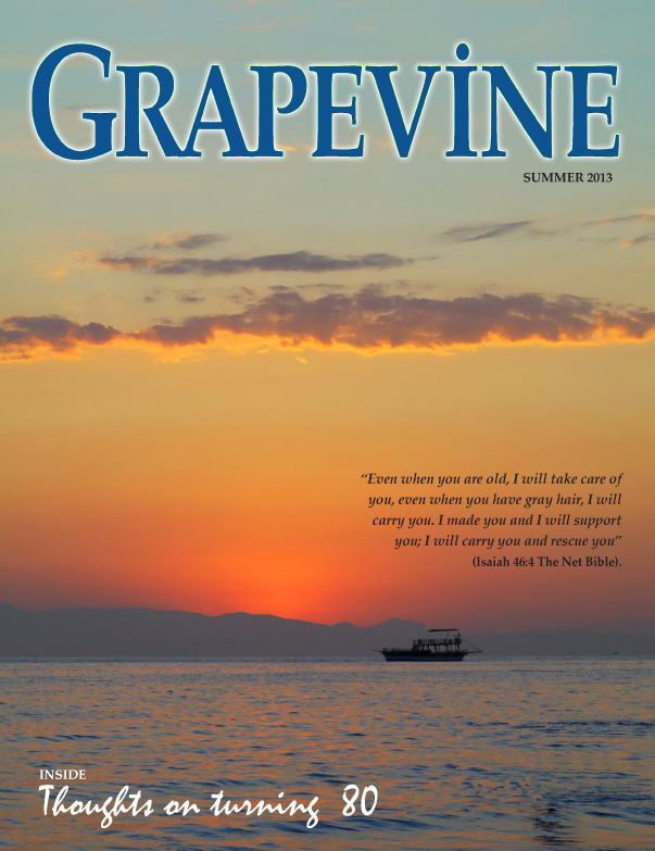 The Grapevine - Bible Teaching Resources