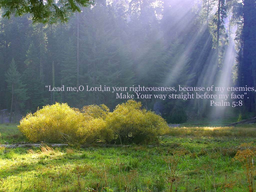 November 15—Sincerity - Bible Teaching Resources